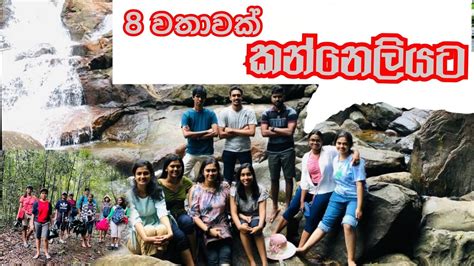 අවුරුදු 5 කට සැරයක් මල් පිපෙන කන්නෙලිය Kanneliya Rain Forest Youtube