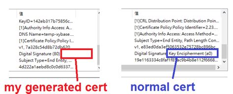 Generate Certification With The Option Key Usage Help Lets Encrypt
