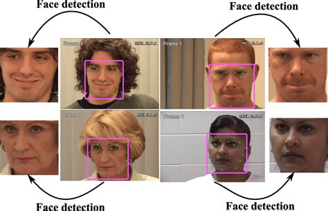 image preprocessing task for the proposed sentiment analysis system