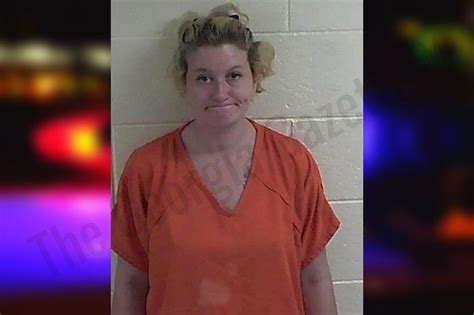 Michelle Eason — Fannin County Jail Bookings