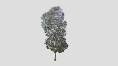 Tree Point Cloud Buy Royalty Free 3d Model By Magnum Opus Tree Cloud [5f105f2] Sketchfab
