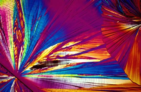 Así Se Ve El Tequila Y Otros Drinks Bajo El Microscopio