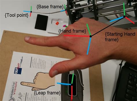 coordinate frames of the system x y z axes are red green and blue