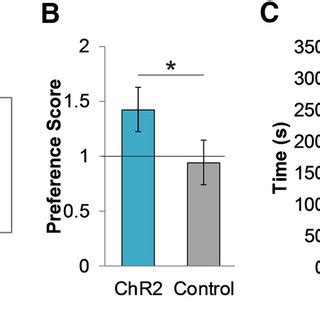 Optogenetic Stimulation Caused CPP A Schematic Showing The Set Up For Download Scientific