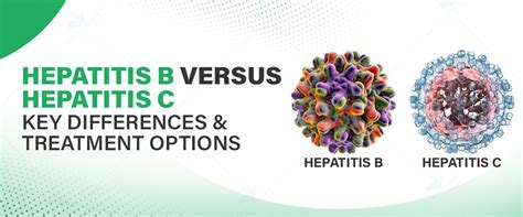 Hepatitis B Versus Hepatitis C Key Differences And Treatment Options