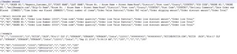 Magento 19 Create Custom Order Csv Per Order With Header Record And Detail Record Magento