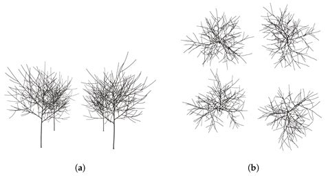 Integration Of A System Dynamics Model And 3d Tree Rendering—vismaf Part Ii Model Development