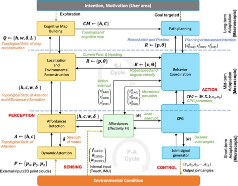Overall Design Of Multiscopic Neuro Cognitive Model The System Is Download Scientific Diagram