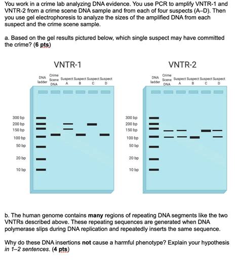 Unveiling The Secrets Fingerprint Analysis Lab Activity Answer Key
