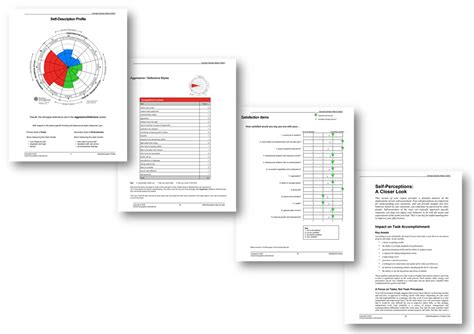 Life Styles Inventory LSI Human Synergistics Australia