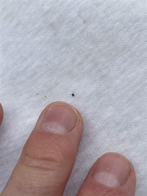 Its Tick Nymph Season Jackson County Vector Control District