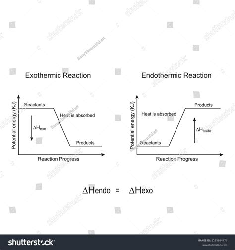 Following Reaction Pathway Diagram Shows That Stock Vector Royalty Free 2285684479 Shutterstock