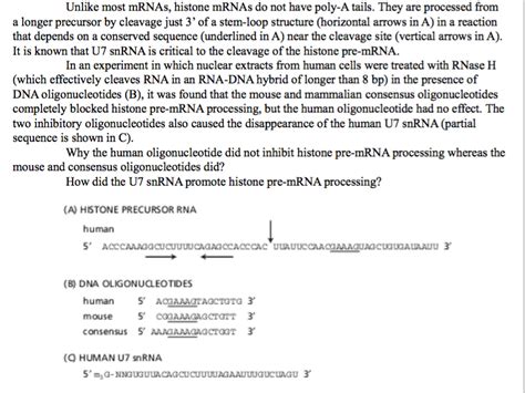 Solved Unlike Most Mrnas Histone Mrnas Do Not Have Poly A