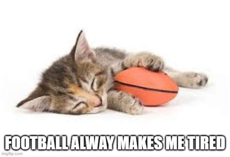 Memes By Brad Kitten Is Tired After Playing Football Super Bowl