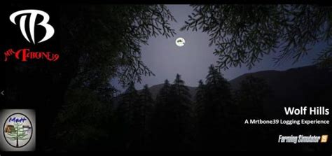 Logging In The Hollers V1 0 Fs19 Mod