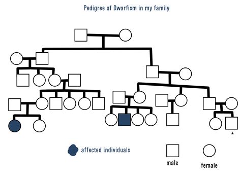 Achondroplasia Pedigree Chart