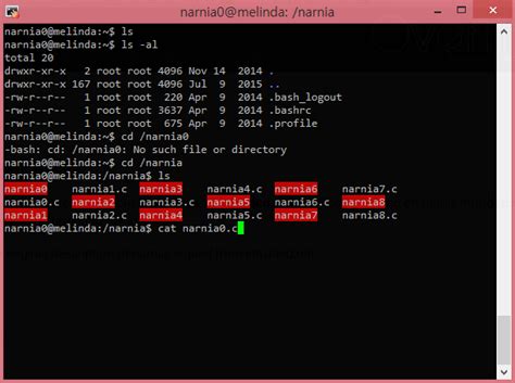 Overthewire Narnia Level0 Level1 Choiys