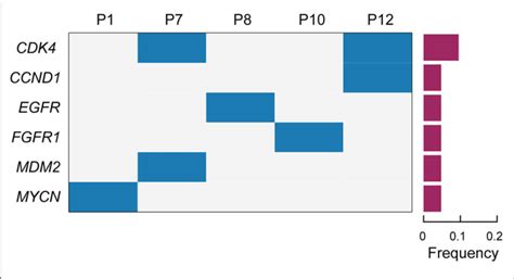 The Profiles Of Somatic Copy Number Alterations For The Enrolled