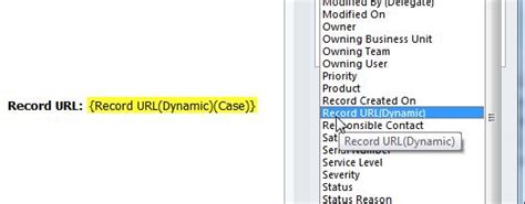 Record Hyperlinks Available In Dynamics Crm 2011 Workflows Magnetism Solutions Nz Auckland