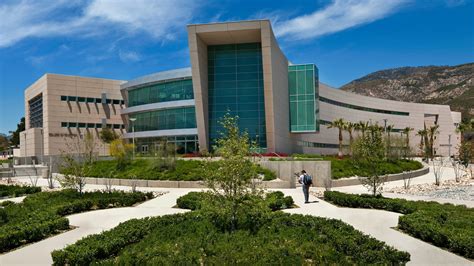 Cal State San Bernardino Online Mba