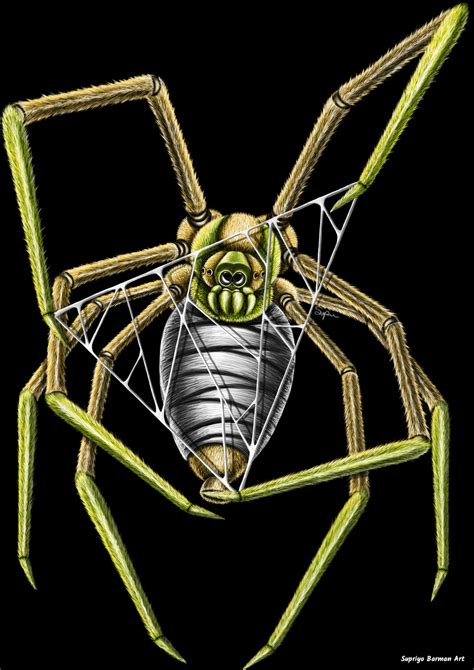 🕸️💚💛spidops Pokemon💛💚🕸️ Oc Rpokemonart