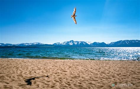 해발 2천미터에 해변이 있다고 꿈의 여름휴양지 미국 캘리포니아 레이크 타호 네이버 블로그