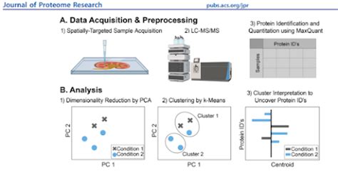 News In Proteomics Research Spatial Proteomic Profiling Enabled With Serious Robotics