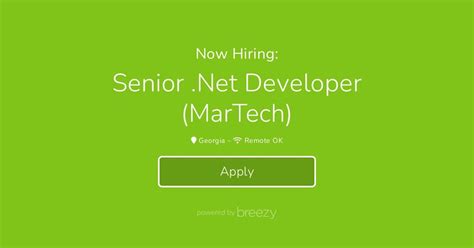 Senior Net Developer Martech At Social Discovery Group