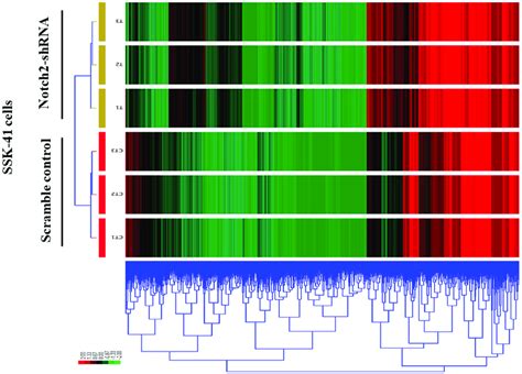 a clustered heat map showing the expression patterns of degs in control