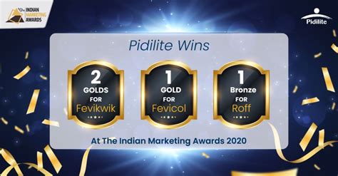 Pidilite Industries Limited On Linkedin Is It Even A Surprise That The
