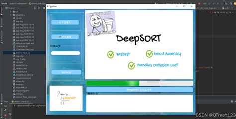 yolov11 deepsort的目标跟踪实现