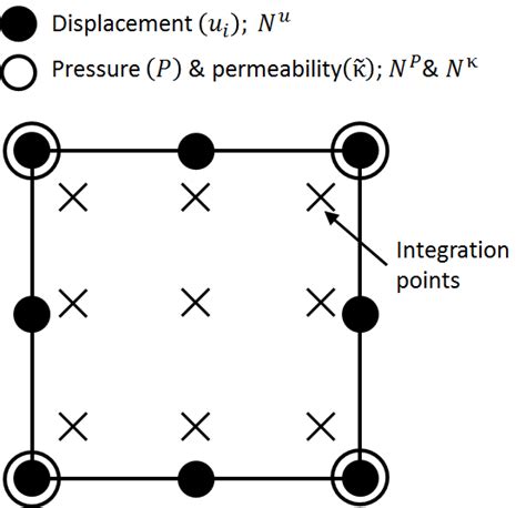 schematic showing the u − p − ˜ κ mixed finite element degrees of