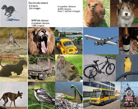 example images from the three datasets used in our experiments