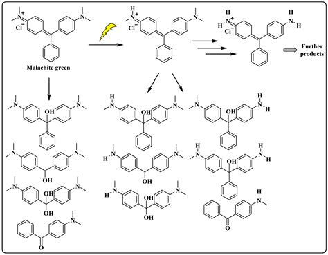 Water Free Full Text A Comprehensive Review On Catalytic Activities Of Green Synthesized