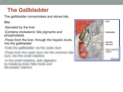 Solution Biliary Tract Disease Studypool