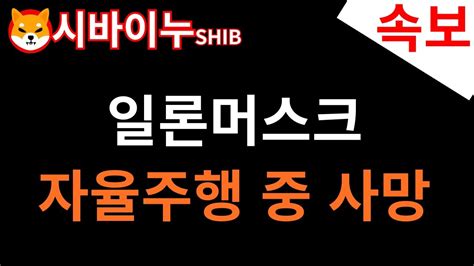 시바이누 Shib 일론 머스크 충격 사망 소식 자율주행의 그림자 Youtube
