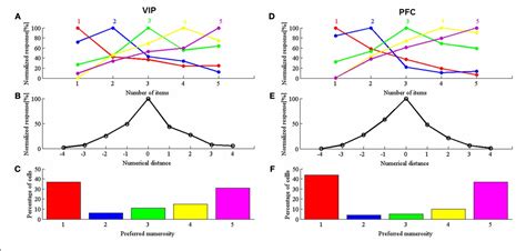 Figure 1 From Spontaneous Summation Or Numerosity Selective Coding