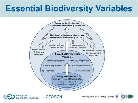 Ppt Essential Biodiversity Variables For Global Earth Observation Powerpoint Presentation Id