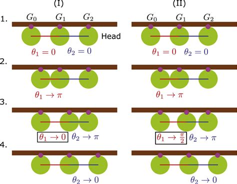 One Cycle Of The Gait Generated For Three Mass Points With The Download Scientific Diagram