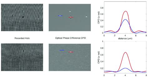 Optical Phase Difference Opd Functions Reconstructed Numerically From