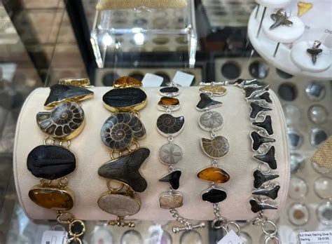 Ammonite Fossils A Glimpse Into Ancient Marine Life Prehistoricoregon