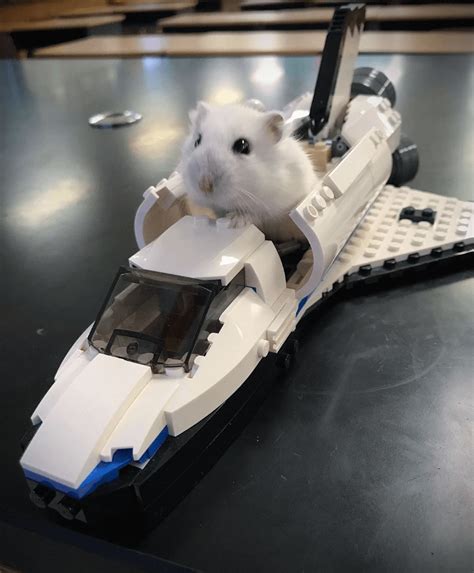 Astro Mouse Rocketry