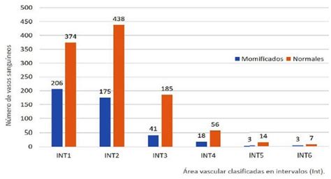 Proceso Angiogénico Alterado En Placentas De Cerdas Con Fetos Momificados Engormix