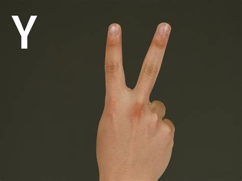 Ү Монгол дохионы хэл