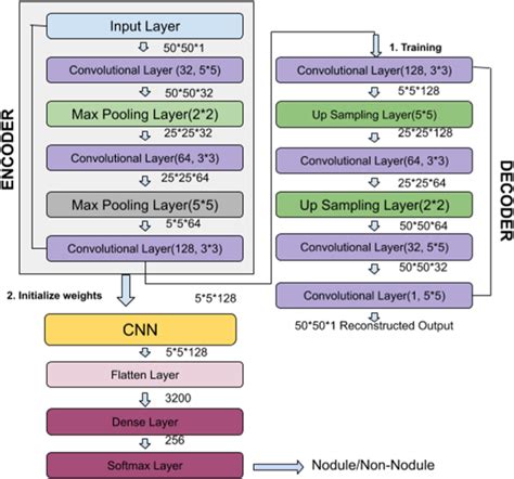 Proposed Cae Fcn Architecture For Pulmonary Nodule Detection Download