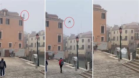 „ამ ადამიანს წლის ყეყეჩის წოდება უნდა მიენიჭოს“ ვენეციის მერი კაცზე რომელიც სახურავიდან არხში