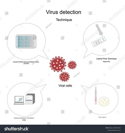 Viral Detection Technique That Picture Represent Stock Vector Royalty