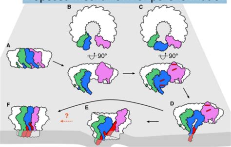 Integrating Molecular Dynamics Flashcards Quizlet