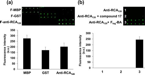 Fluorous Protein Microarray For The Simultaneous Detection Of Multiple