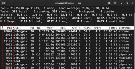 How To Find A Process Id And Kill It In Linux Cli And Gui
